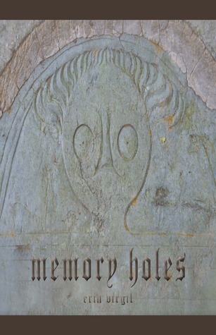 memory holes by Erin Virgil | Goodreads
