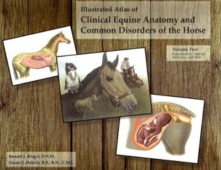 The Illustrated Atlas of Clinical Equine Anatomy and Common Disorders ...