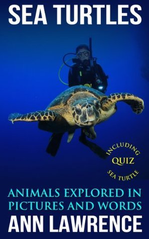 Sea Turtles - Animals Explored in Pictures and Words by Ann Lawrence ...