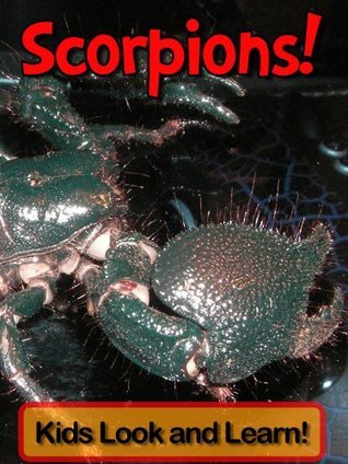 Scorpions! Learn About Scorpions and Enjoy Colorful Pictures - Look and ...