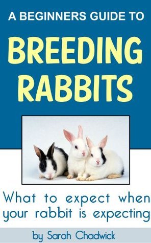 A Complete Guide to Breeding Meat Rabbits: What to expect when your ...