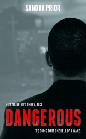 Dangerous (Taylor Family #1) by Sandra Prior | Goodreads