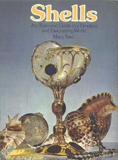 Shells: An illustrated guide to a timeless and fascinating world by ...