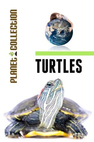 Turtles: Picture Book (Educational Children's Books Collection) - Level ...