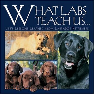 What Labs Teach Us: Life's Lessons Learned from Labrador Retrievers by ...