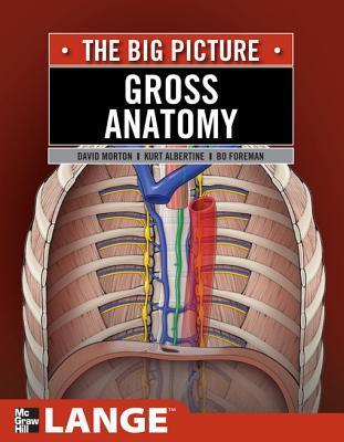 Gross Anatomy: The Big Picture by David A. Morton | Goodreads