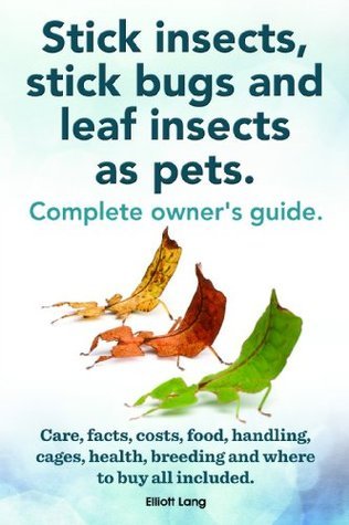 Stick insects, stick bugs and leaf insects as pets. Stick insects care ...