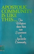Apostolic Community is Like This: Ten Religious Share Their Own ...