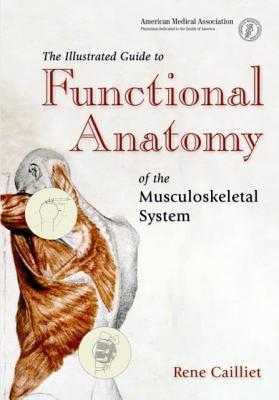 The Illustrated Guide to Functional Anatomy of the Musculoskeletal ...