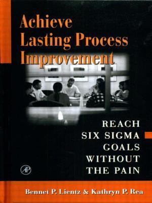 Achieve Lasting Process Improvement: Reach Six Sigma Goals without the ...
