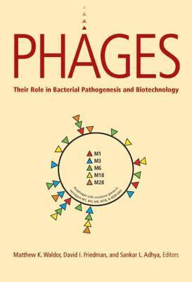 Phages: Their Role in Pathogen and Biotechnology by Matthew K. Waldor ...