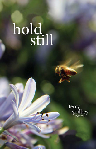 Hold Still by Terry Godbey | Goodreads