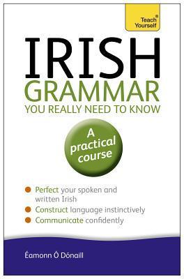 Teach Yourself Irish Grammar You Really Need to Know: A Practical ...