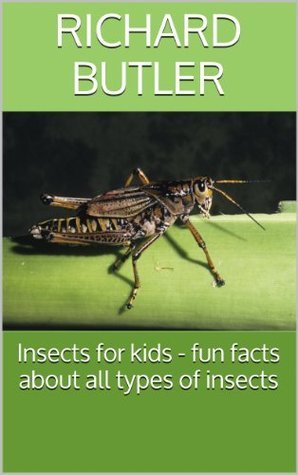 Insects for kids - fun facts about all types of insects: Fun Animal ...