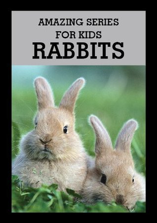 Amazing Series for Kids: Discover Bunny and Rabit Picture Book by Dp ...