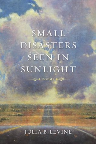 Small Disasters Seen in Sunlight: Poems by Julia B. Levine | Goodreads