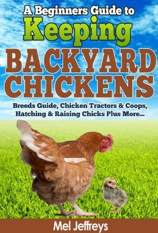 A Beginners Guide to Keeping Backyard Chickens - Breeds Guide, Chicken ...
