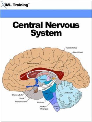 Central Nervous System (Human Body Book 4) by IML Training | Goodreads