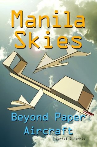 Paper Airplanes in Cardboard: Make Durable Flying Cardboard Gliders ...