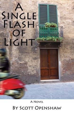 A Single Flash of Light by Scott Openshaw | Goodreads