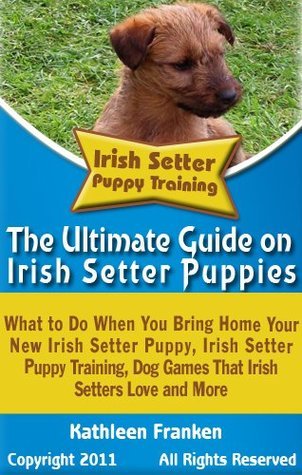 Irish Setter Puppy Training: The Ultimate Guide on Irish Setter Puppies ...