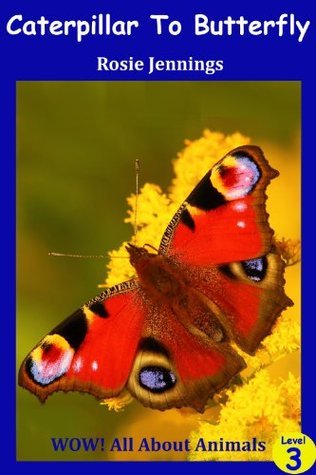 Caterpillar To Butterfly (Life Cycle Of A Butterfly) by Rosie Jennings ...