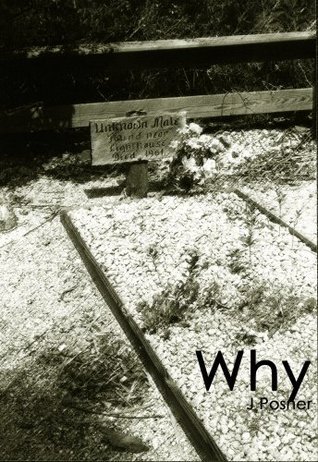 Why by Michael J Posner | Goodreads
