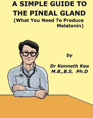 A Simple Guide to The Pineal Gland and Its Function (What You Need To ...