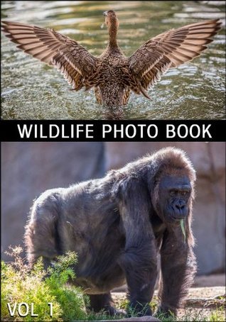 Wildlife Photo Book Volume 1 : High Res Picture Book by Artistic ...