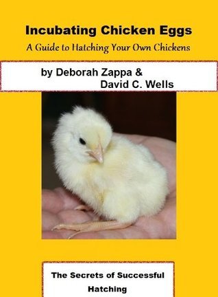 Incubating Chicken Eggs: A Guide To Hatching Your Own Chickens by ...