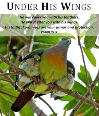 Under His Wings by Christian Messages | Goodreads