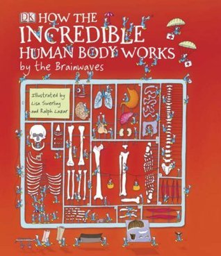 How the Incredible Human Body Works: by the Brainwaves by last-lemon ...