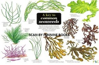 A Key to Common Seaweeds by Steve Morrell | Goodreads