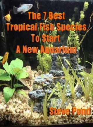 The 7 Best Beginning Tropical Fish Species For Starting A New Aquarium ...