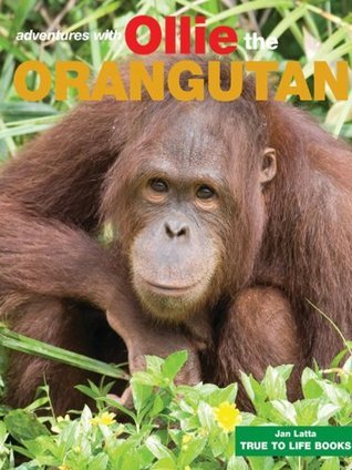 Ollie the Orangutan (True To Life Books Book 3) by Jan Latta | Goodreads