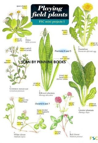 Playing Field Plants (FSC Mini Projects) by Unknown | Goodreads