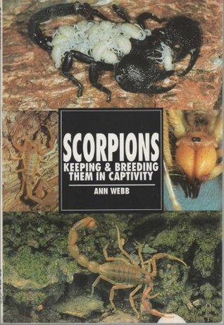 Scorpions: Keeping & Breeding Them in Captivity (Re-154) by Ann Webb ...
