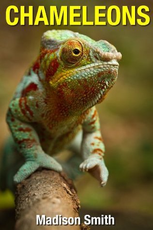 Chameleons: Fun Facts and Photos for Kids by Madison Smith | Goodreads
