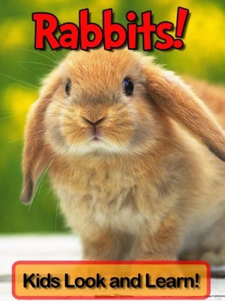 Rabbits! Learn About Rabbits and Enjoy Colorful Pictures - Look and ...