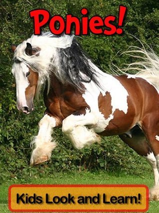 Ponies! Learn About Ponies and Enjoy Colorful Pictures - Look and Learn ...