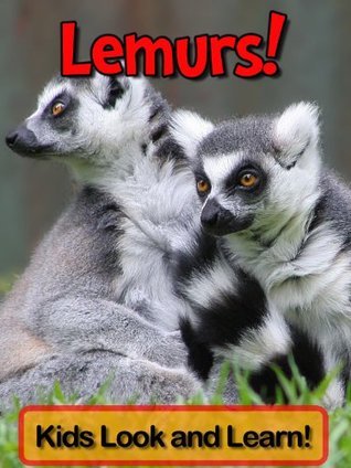 Lemurs! Learn About Lemurs and Enjoy Colorful Pictures - Look and Learn ...