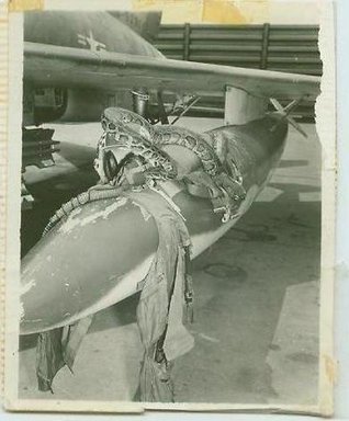 Ramrod the Combat Snake by Mark Berent | Goodreads