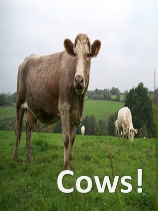 Cows : Children's picture book of farm animals and cows by Calvin Haws ...