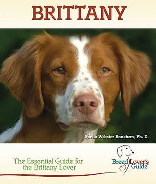 Brittany: The Essential Guide for the Brittany Lover by Sheila Webster ...