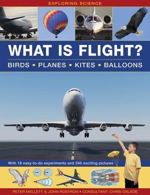 Exploring Science: What is Flight?: Birds, Planes, Kites, Balloons ...