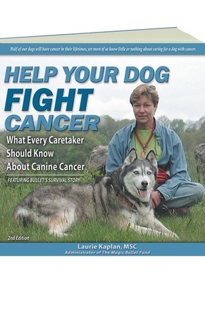 Help Your Dog Fight Cancer: What Every Caretaker Should Know About ...