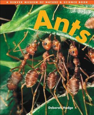 Ants (Denver Museum Insect Books) by Deborah Hodge | Goodreads