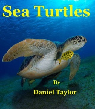 Sea Turtles: A Fun Fact Picture Book for Young Readers Aged 9 and Up by ...