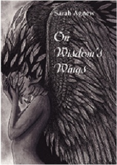 On Wisdom's Wings: Learning to Fly by Sarah Agnew | Goodreads