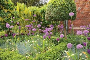 The RHS Companion to Scented Plants by Stephen Lacey | Goodreads